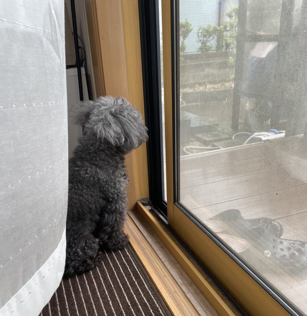 ヘッケルのボーカルについて(八木) - 日本ダブルリード株式会社-オーボエ、バスーン（ファゴット）の専門店